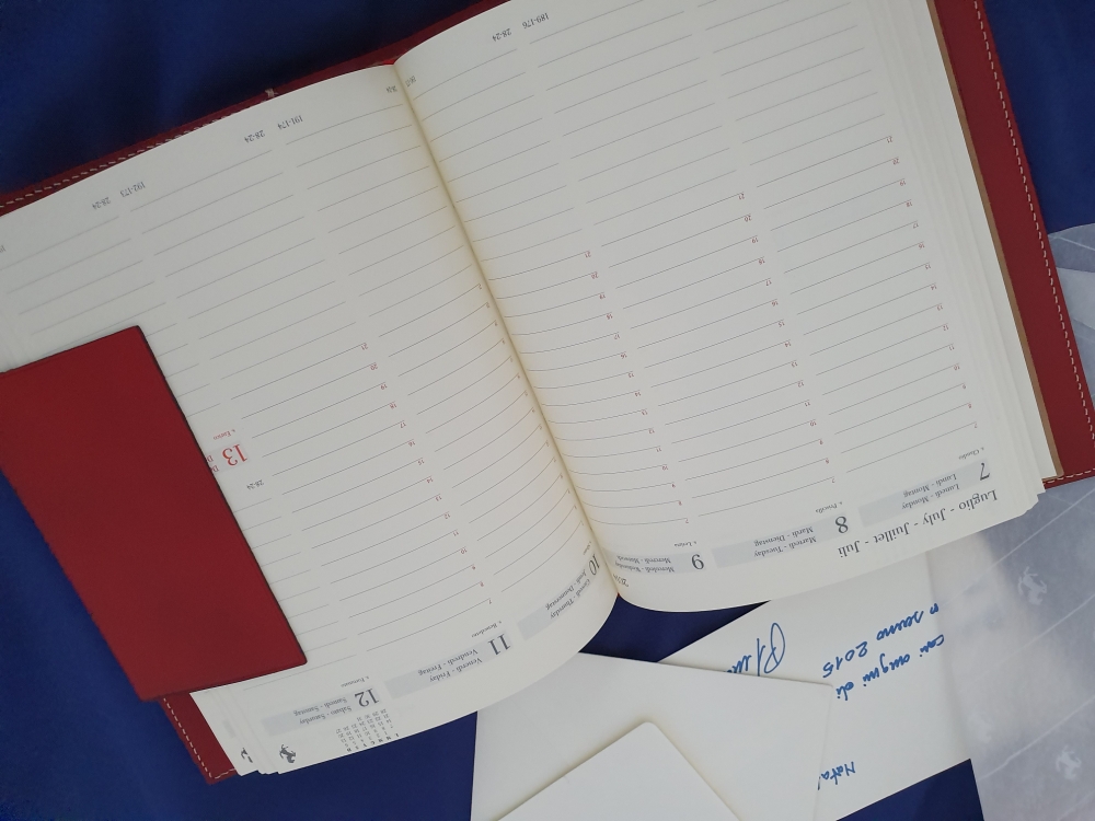 FERRARI Diary DRIVERS COPY Genuine Jody Schecter STUNNING ...